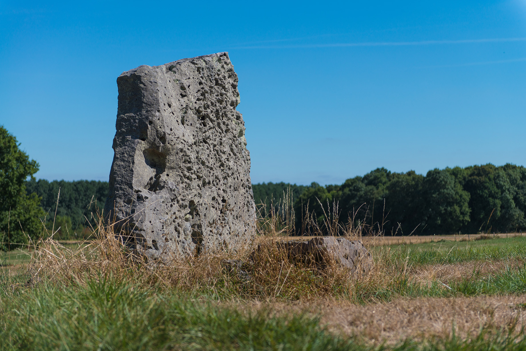 A la découverte des Dolmens en Gâtine-Racan - Gâtine Racan